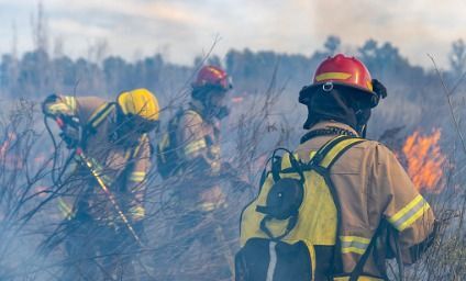 Why Employers Have a Responsibility to Protect Workers from Wildfire Smoke